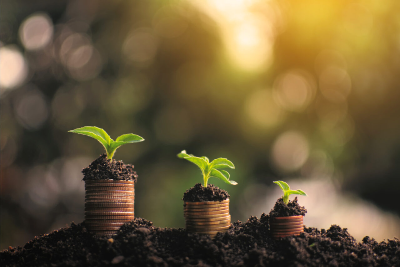 Seed Investing - Armasitegroup